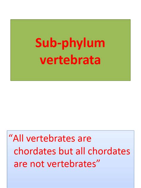Sub Phylum Vertebrata Pdf Amphibian Fish