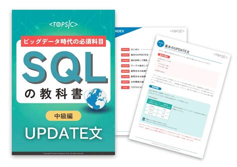 Sqlの教科書（中級編：update文） ｜データベース開発支援ツール Si Object Browser