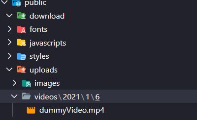 Mongodb Node Js Multer Video File Is Saved Uploaded But Validator Gives An Error That Video