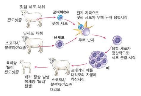 핵치환 기술 네이버 블로그