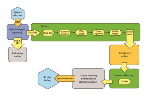 Flowchart Showing The Steps Involved In Analyzing High Throughput