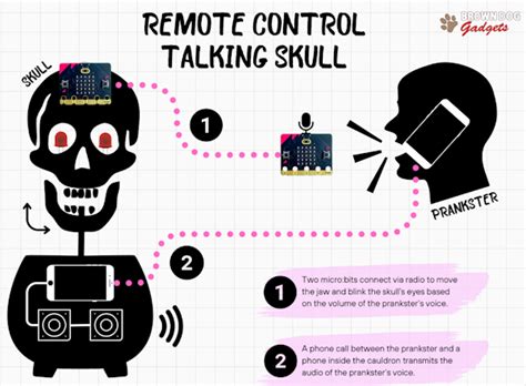 a diy talking skull made with with micro bit halloween microbit edu msmakecode