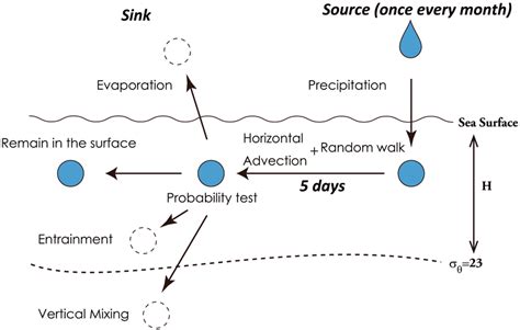A Schematic Of The Lagrangian Particle Tracking Model For Tracking