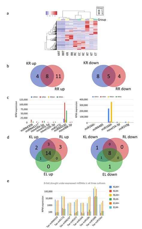 Differential Expression Of Mirnas Analysed With A Heatmap Using