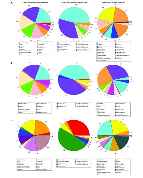 The Annotated Ags A Ngs B And Degs C Were Classified Into The