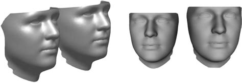 Sex Neutral Face Shape Models In Two Sizes Small And Large Calculated