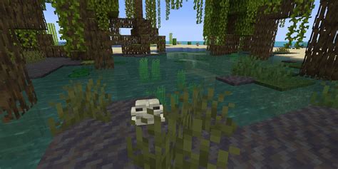 Mangrove Biome In Minecraft