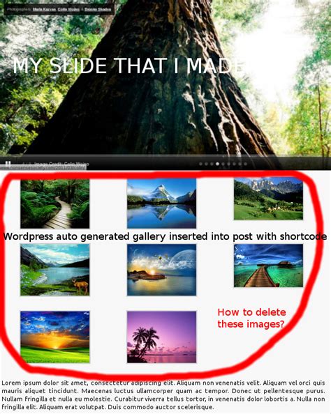 Php Wordpress Image Gallery Remove From Content Stack Overflow