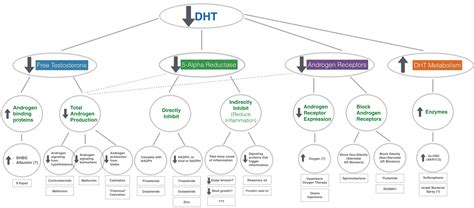 A Master Guide To Lowering DHT For Hair Loss Part Free Testosterone