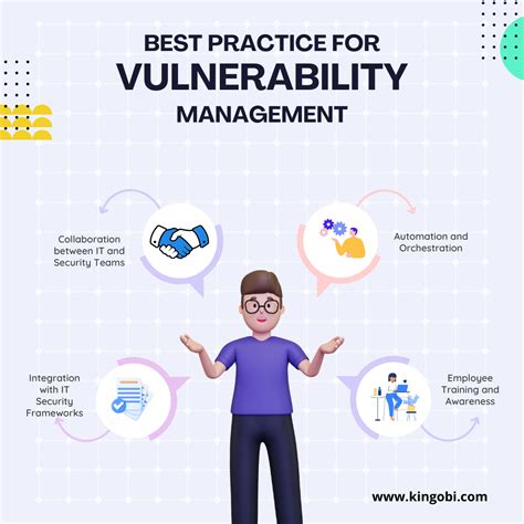 Vulnerability Management Lifecycle A Comprehensive Guide King Obi