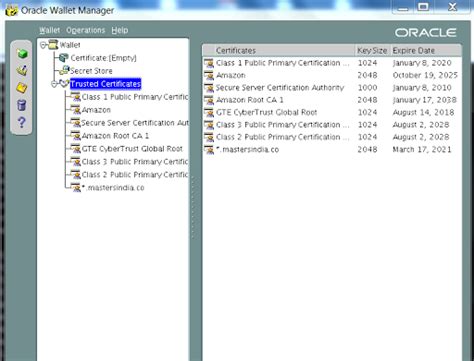 How To Create Oracle Wallet To Secure External Password