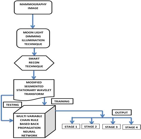 Moon Phase Wavelet Chain Rule Model Download Scientific Diagram