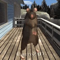 Rat Dance S Download And Share
