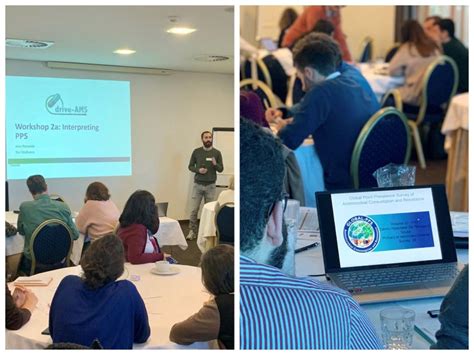 Drive Ams Builds On The Global Pps Platform Global Pps Global Pps