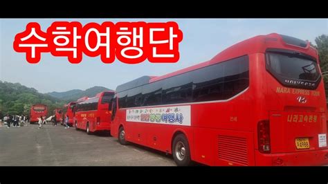 관광버스 만물에서 운전석 맞또 깔아써요 Youtube