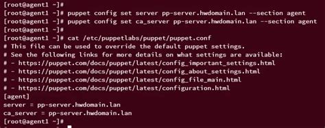 How To Install Puppet Server And Agent On AlmaLinux