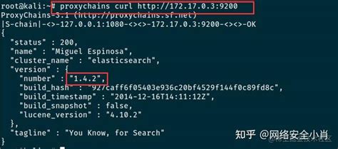 漏洞靶场实战 Vuluhub Mediumsocnet 知乎