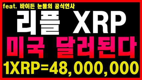 리플 미국달러화 계획이 성공적으로 진행중에 있습니다 리플 Youtube