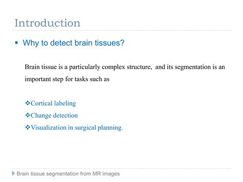 Brain Tissue Segmentation From Mr Images Ppt