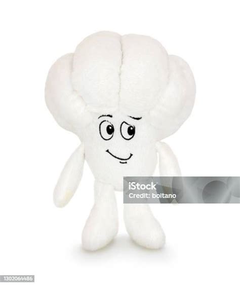 그림자 반사와 흰색 배경에 고립 콜리플라워 플러스 인형 흰색 배경에 봉제 인형 어린이를위한 푹신한 장난감 아이들을위한 귀여운 모피 놀이 0명에 대한 스톡 사진 및 기타