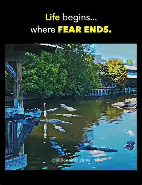 Mohamed Riyaz Posted On Linkedin