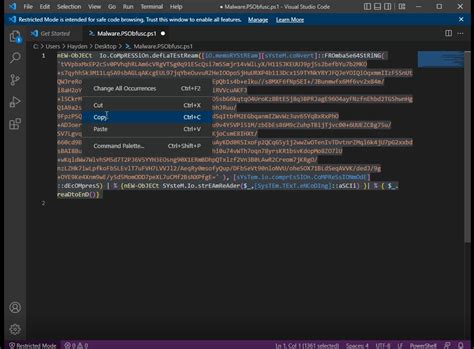 Review Tcm Academy Practical Malware Analysis And Triage