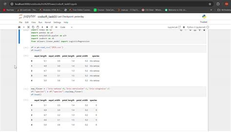 Video Om Patel On Linkedin Codsoft Datascience Machinelearning