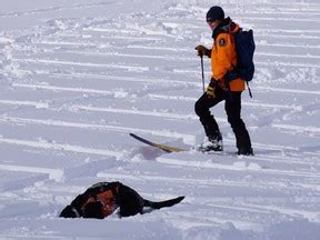 Learn How To Stay Safe In The Kananasis Backcountry Calgary Herald