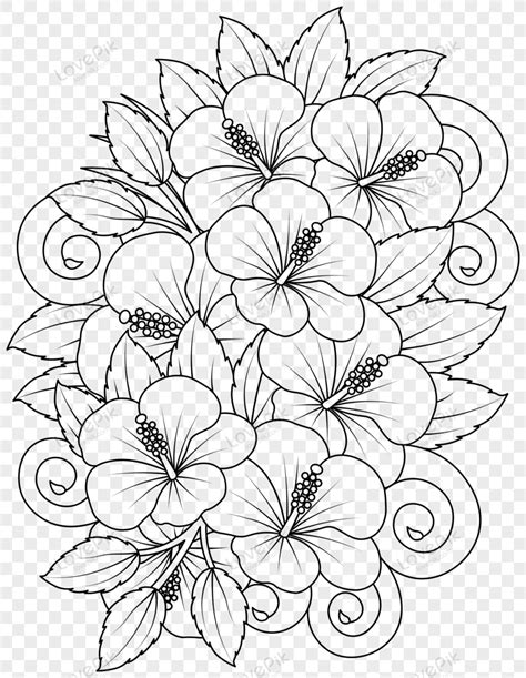 채색의 무궁화 꽃 라인 아트 벡터 그래픽 디자인의 장미 Png 일러스트 무료 다운로드 Lovepik