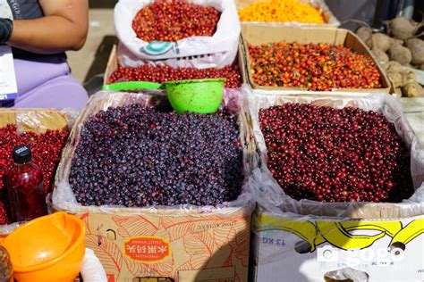 ФОТО Намрын ногоон өдрүүд үзэсгэлэн худалдаа үргэлжилж байна