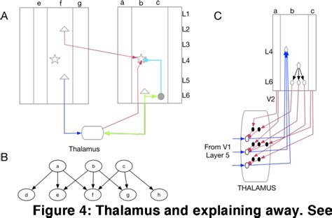 Cortical Microcircuits From A Generative Vision Model