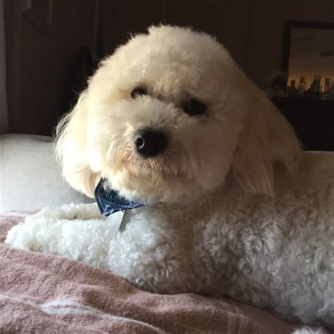 Lea Lea Of The Sea Threads Say More Lea Lea Of The Sea Threads Say More