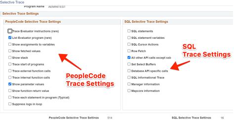 new application engine features in peopletools 8 60 peoplesoft tutorial