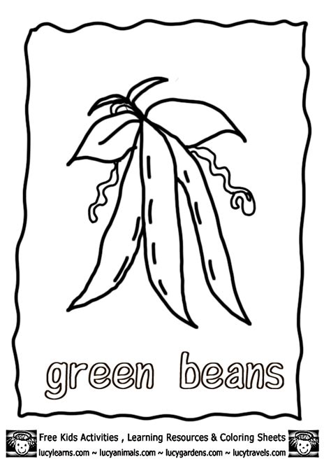 Free Green Beans Coloring Page Free Download Free Green Beans Coloring