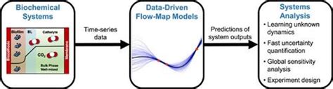 Data Driven Flow Map Models For Data Efficient Discovery Of Dynamics