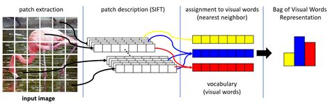 k means clustering and bag of visual words · antonino furnari