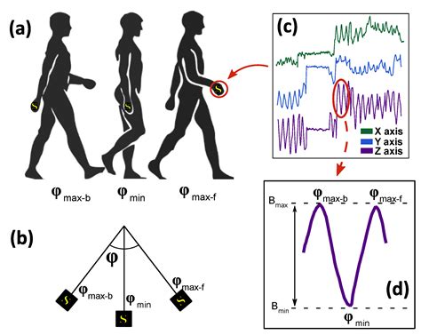 Sensors Free Full Text Method Of Step Detection And Counting Based