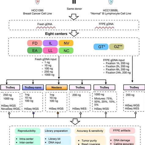 Mutation Allele Frequency And Coverage Depth In Wes And Wgs