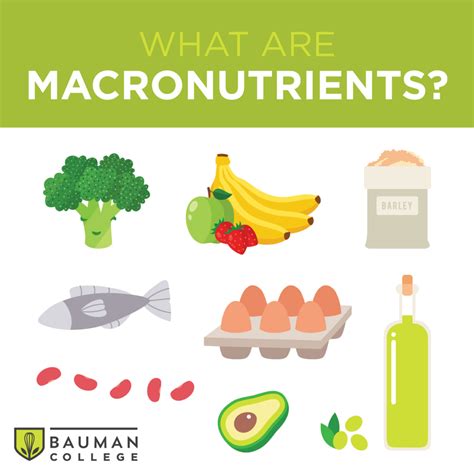 What Are Macronutrients Bauman College Blog And Recipes
