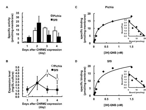 Functional Comparison Of P Pastoris And Sf9 Insect Cell Expression
