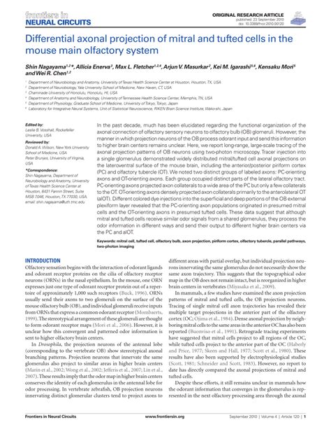 Pdf Differential Axonal Projection Of Mitral And Tufted Cells In The