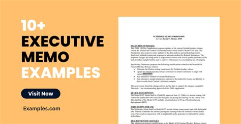 10 Executive Memo Examples To Download