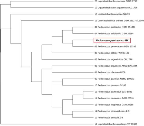 Journal Of Dairy Science And Biotechnology