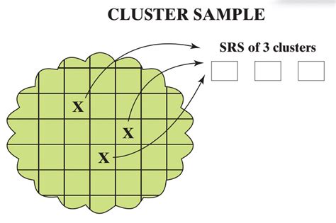 Stratified Random Sample Vs Cluster Sample