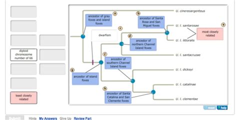TAXONOMY EXAM Flashcards Quizlet