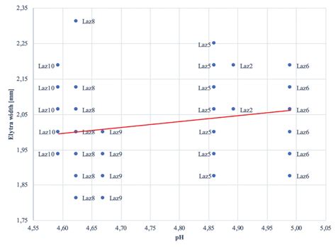 linear regression graph between elytra width of nebria castanea