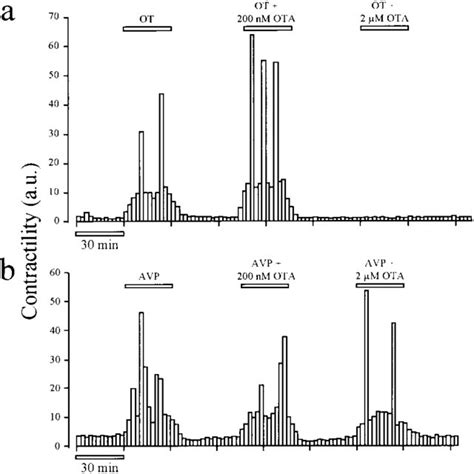 Representative Contractility Recordings Of Individual Seminiferous