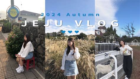 가을에도 예쁜 제주도 Vlog Youtube