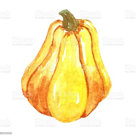 수채화 호박 고립 된 흰색 배경에 수채화 엽서 일러스트레이션 0명에 대한 스톡 벡터 아트 및 기타 이미지 0명 10월 가을 Istock