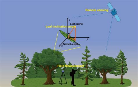 Remote Sensing Mdpi On Linkedin Remotesensing Agriculture Vegetation